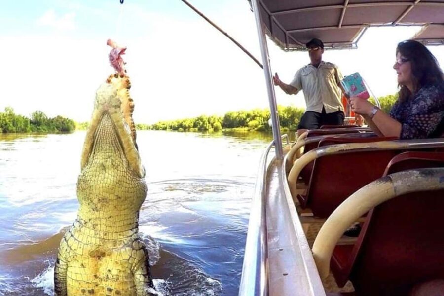 Darwin: Jumping Crocodile Adventure Cruise with Lunch - The Itinerary in Detail: What to Expect on the Day