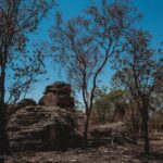 Darwin: Kakadu National Park Day Tour with Lunch - Analyzing the Value: Is It Worth $226?