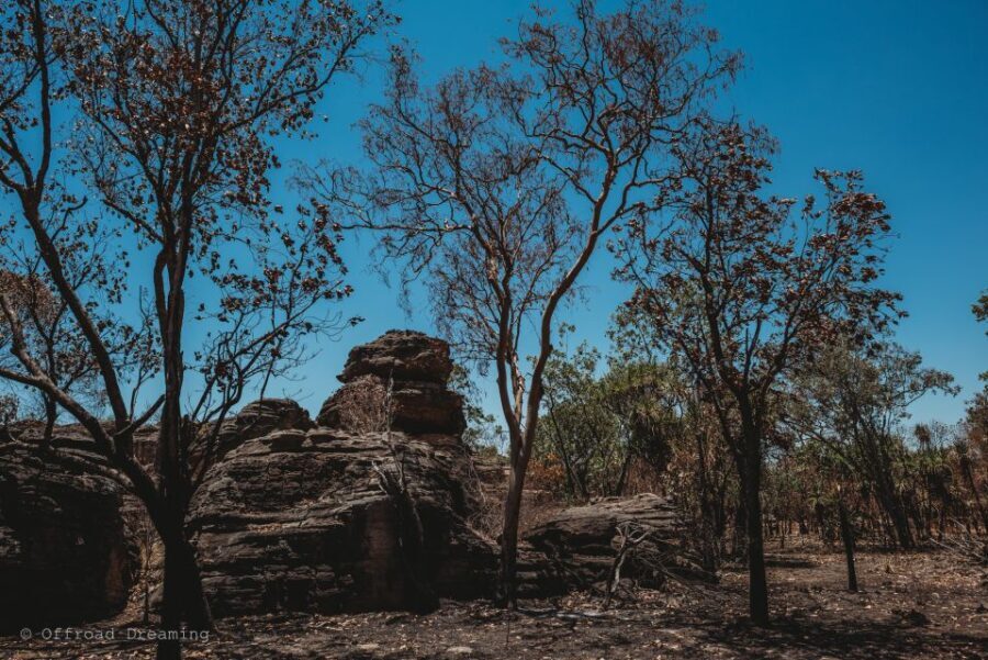 Darwin: Kakadu National Park Day Tour with Lunch - Analyzing the Value: Is It Worth $226?