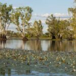 Darwin: Kakadu National Park Day Trip - The Experience in Detail