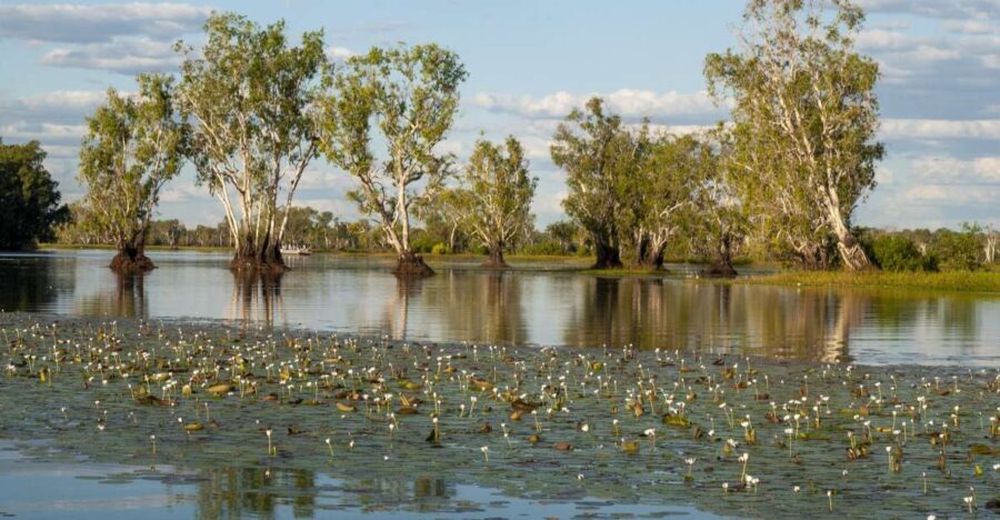 Darwin: Kakadu National Park Day Trip - The Experience in Detail