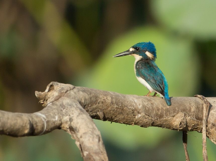 Darwin: Mary River Wetlands Wildlife Cruise with Lunch - Who Will Love This Tour?