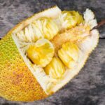 Darwin: Private Forage for an Outback Feast & Sightseeing - Analyzing the Value