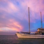 Darwin: Signature four course Sunset Dinner Cruise - Who Should Consider This Tour?