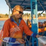 Darwin: Sunset Harbour Cruise with Fish and Chips Dinner - Key Points