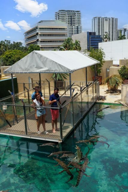 Darwin: VIP Crocosaurus Cove Experience - The Practicalities: What You Need to Know
