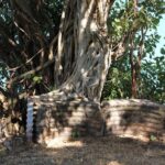 Darwin Walking Tour: World War II Reflections - Who Will Enjoy This Tour Most?