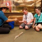 Darwin: Whipray Encounter with Entry to Crocosaurus Cove - Who Should Consider This Tour?