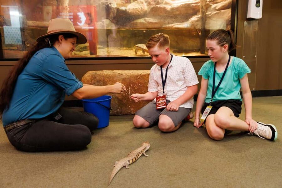 Darwin: Whipray Encounter with Entry to Crocosaurus Cove - Who Should Consider This Tour?