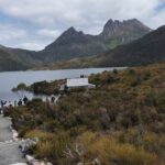 Day Excursion Burnie Cradle Mt National Park - What Travelers Are Saying