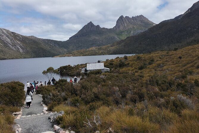 Day Excursion Burnie Cradle Mt National Park - What Travelers Are Saying