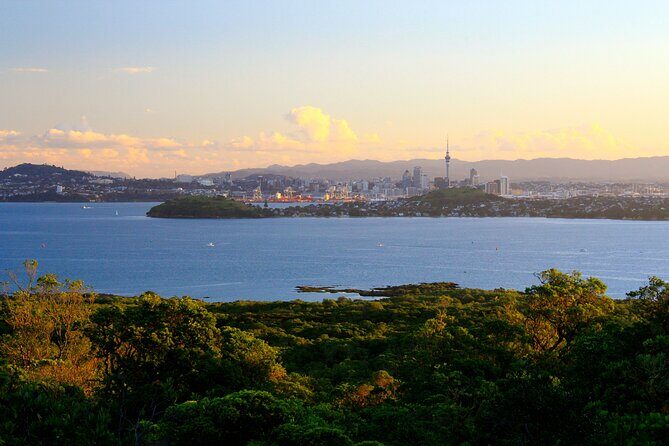 Day sea kayak tour Rangitoto Island - What Sets This Tour Apart