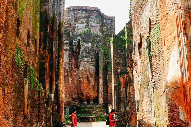 Day Tour from Dambulla to Sigiriya or Pidurangala & Polonnaruwa - Exploring the Tour: A Deep Dive