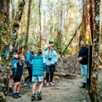 Day Tour in Mt. Field, Mt. Wellington, Bonorong Wildlife Sanctuary and Richmond - Transportation and Timing