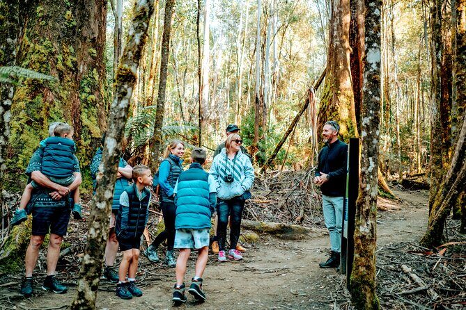 Day Tour in Mt. Field, Mt. Wellington, Bonorong Wildlife Sanctuary and Richmond - Transportation and Timing