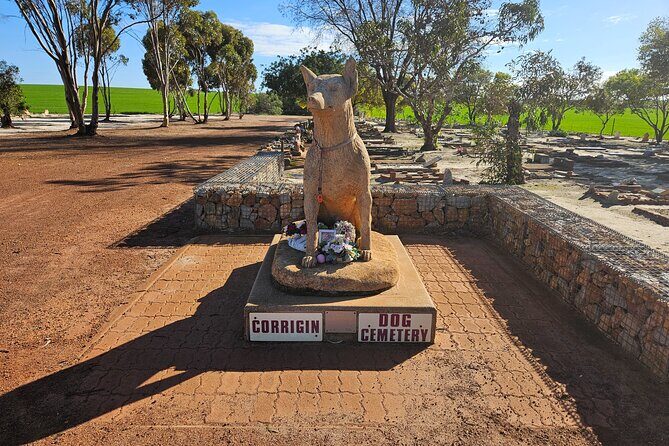 Day Tour in Wave Rock and Mulka's Cave - What the Reviews Say
