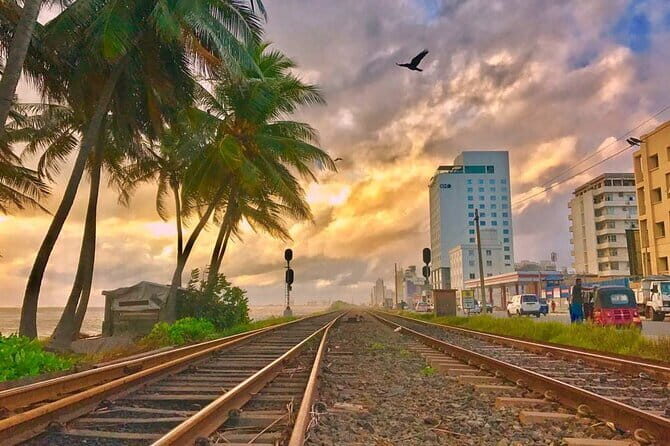 Day Tour of Colombo City - Seaside Serenity and Cultural Highlights