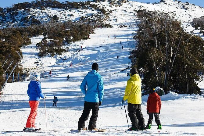 Day Trip To Snowy Mountains From Sydney - What Makes This Tour Stand Out?