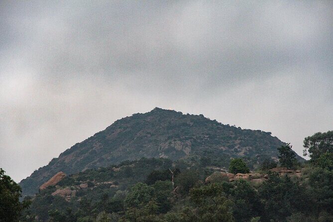 Day trip to Tiruvannamalai Temple &Sri Ramana Ashram from Pondicherry with lunch - Final Thoughts: Who Is This Tour Best For?