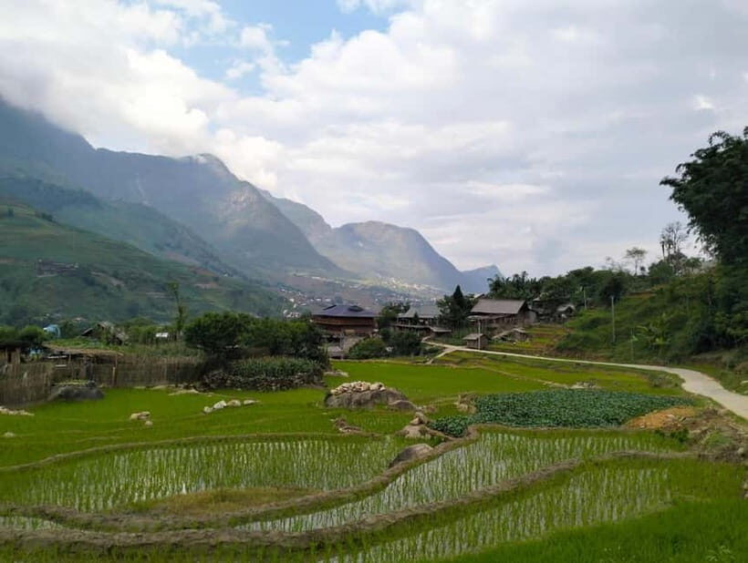 Day Trip Visit Y Linh Ho,Lao Chai Ta Van - Cat Cat Village - Transportation and Logistics
