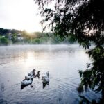 Daylesford Goldfields Track Walking and Wellness Experience - Who Will Love This Tour?