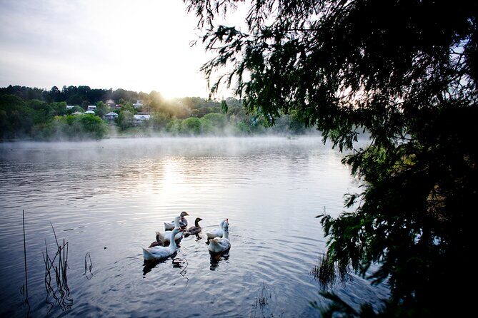 Daylesford Goldfields Track Walking and Wellness Experience - Who Will Love This Tour?