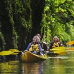 Daytime Canyon Kayak Tour - Why This Tour Works for You