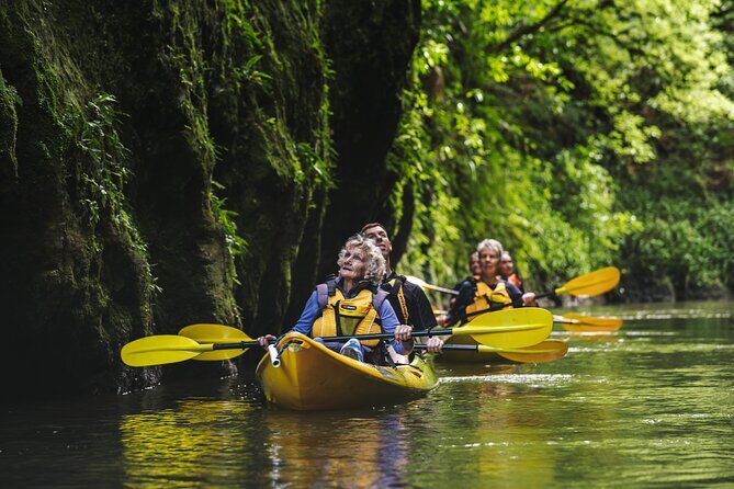 Daytime Canyon Kayak Tour - Why This Tour Works for You