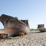 Daytrip from Khiva to Aral Sea Cemetery of Ships. All in one - The Practical Side: Transportation, Cost, and Tips
