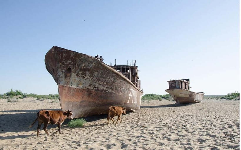 Daytrip from Khiva to Aral Sea Cemetery of Ships. All in one - The Practical Side: Transportation, Cost, and Tips