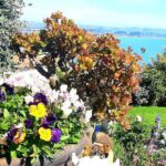 Deco Napier, Te Mata Peak, Garden Walk and Wine Tasting Tour - Askerne Vineyards – A Taste of Local Wines