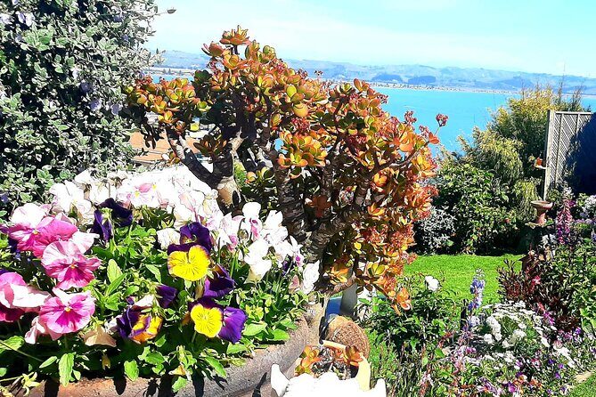 Deco Napier, Te Mata Peak, Garden Walk and Wine Tasting Tour - Askerne Vineyards – A Taste of Local Wines
