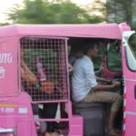 Delhi: By Tuk Tuk - Why We Think This Tour Is Worth It