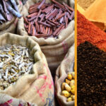 Delhi City Tour: Old, New, or Both  Half & Full Day Options - Who Is This Tour Best For?