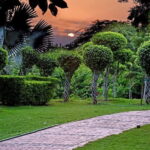 Delhi: Garden of Five Senses Guided Tour with Pickup - A Deep Dive into the Experience