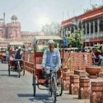 Delhi: Half Day or Full-Day Private City Tour - What To Expect