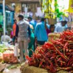 Delhi: Half day Shopping tour with guide by car. - Who Will Love This Tour?