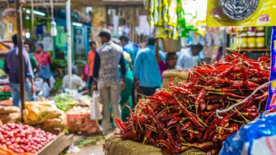 Delhi: Half day Shopping tour with guide by car. - Who Will Love This Tour?