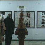 Delhi Highlights Private Tour with Optional Entry Tickets - Transportation, Guide, and Flexibility