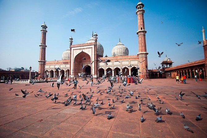 Delhi in One Day - Private Delhi Sightseeing Tour - Is This Tour Worth It?