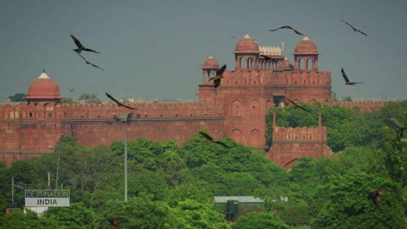 Delhi: Old Delhi Cultural Tour with Gandhi Memorial - Visiting Jama Masjid: The Heart of Islamic Delhi