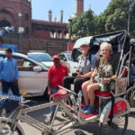 Delhi: Old Delhi Half-Day Private Guided Heritage Tour - What to Expect: The Experience in Detail