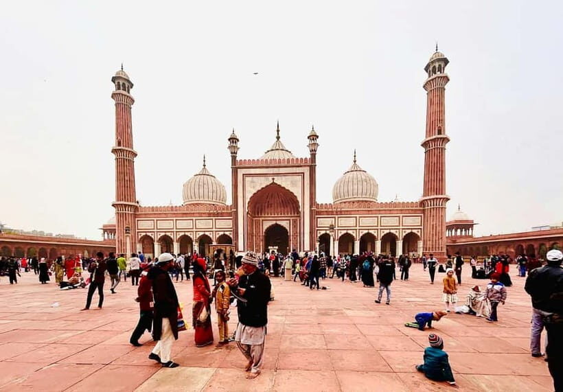 Delhi: Private Full Day New Delhi City Explorer with Guide - The Experience and Practicalities