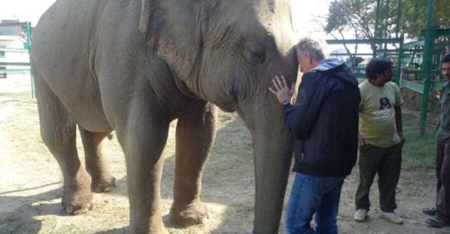 Delhi: Taj Mahal & Wildlife SOS Elephant/Bear Sanctuary Tour - What’s Included — And What’s Not