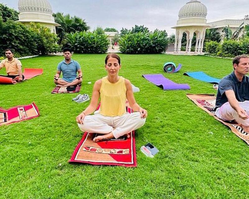 Delhi: Traditional Indian Yoga Experience - Who Is This Tour Best For?