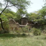 Delhi's Rustic Sites tour & Skip the tourist traps - Practical Details and Value Analysis
