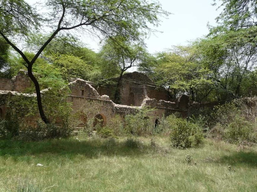 Delhi's Rustic Sites tour & Skip the tourist traps - Practical Details and Value Analysis