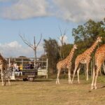 Deluxe Safari Adventure at Werribee Open Range Zoo - excl. entry - Who is This Experience Best Suited For?