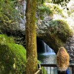 Deluxe Tamborine & Springbrook Day Tour with Skywalk & Glow Worms - A Deep Dive into the Experience