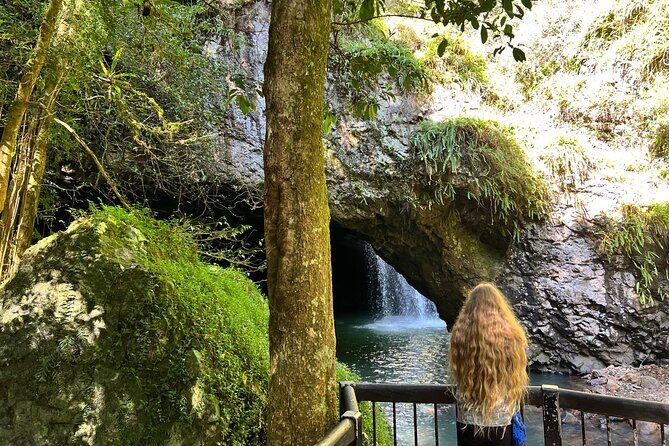 Deluxe Tamborine & Springbrook Day Tour with Skywalk & Glow Worms - A Deep Dive into the Experience